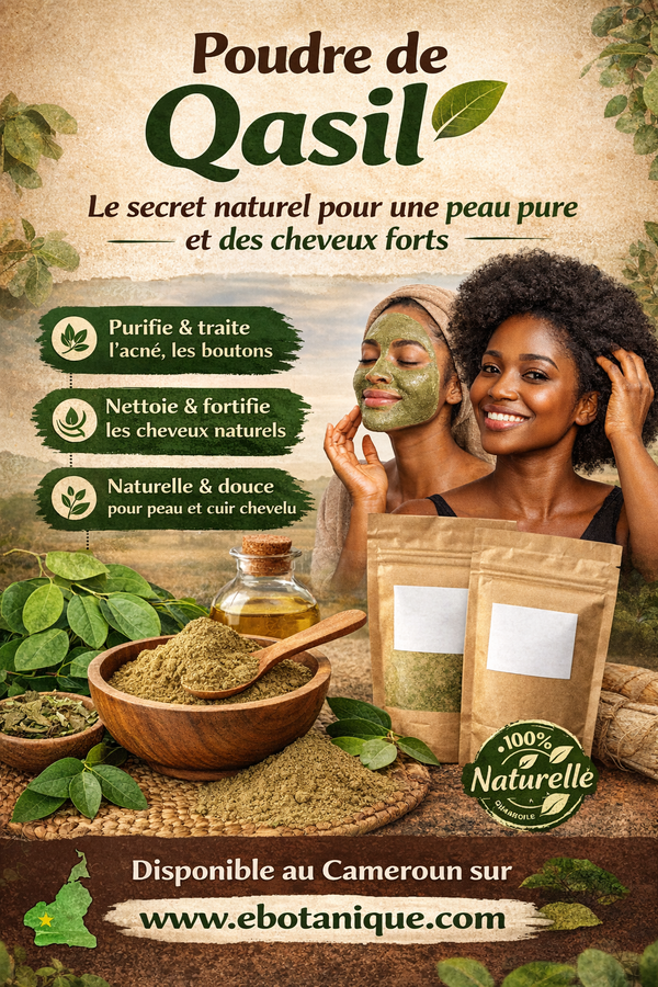 La poudre de Sidr / Jujubier / Poudre de Qasil | Ebotanique - Cameroun ...