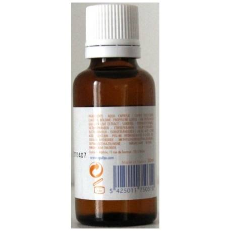 Opalya sérum éclaircissant aux 3 actifs - Ebotanique – Le pouvoir des ...